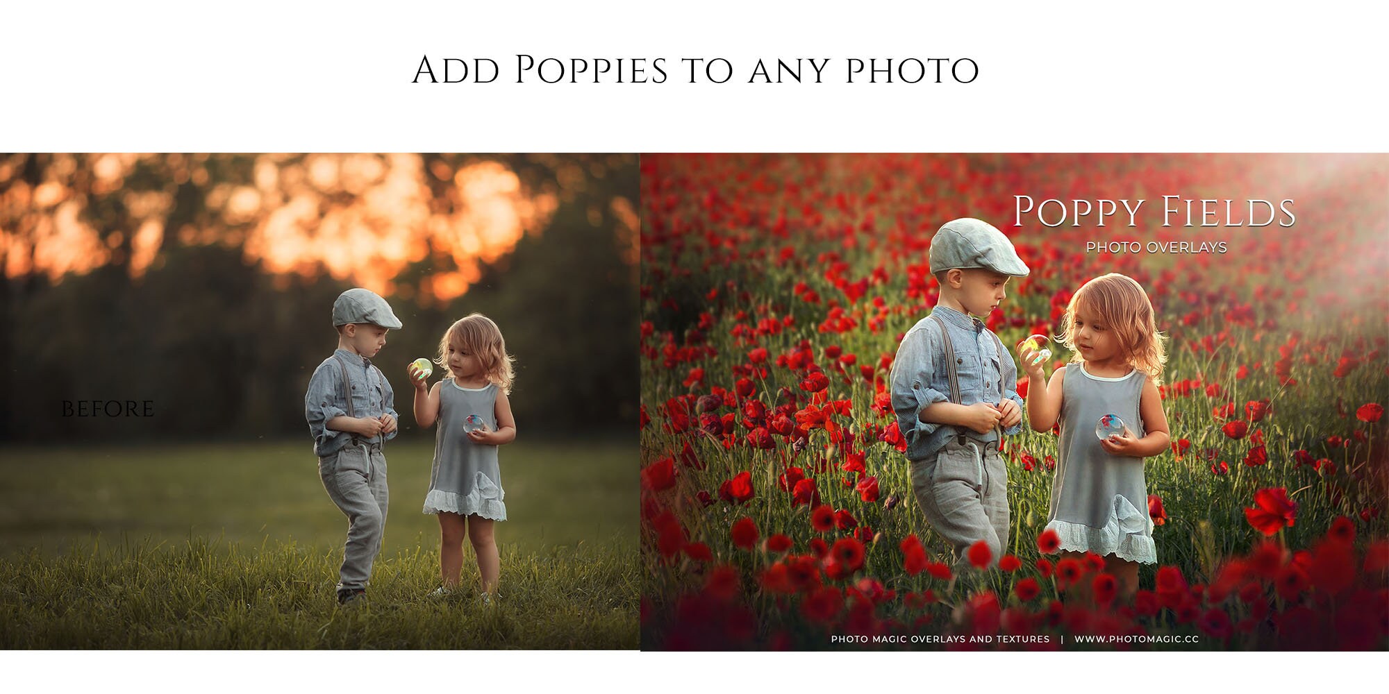 Poppy Field Pack 26 Poppy Overlays and Poppy Field Backdrops - Etsy