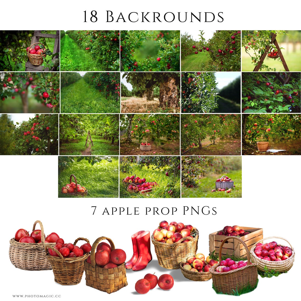 Apple Orchard Autumn Apple Portrait Pack Backgrounds and - Etsy