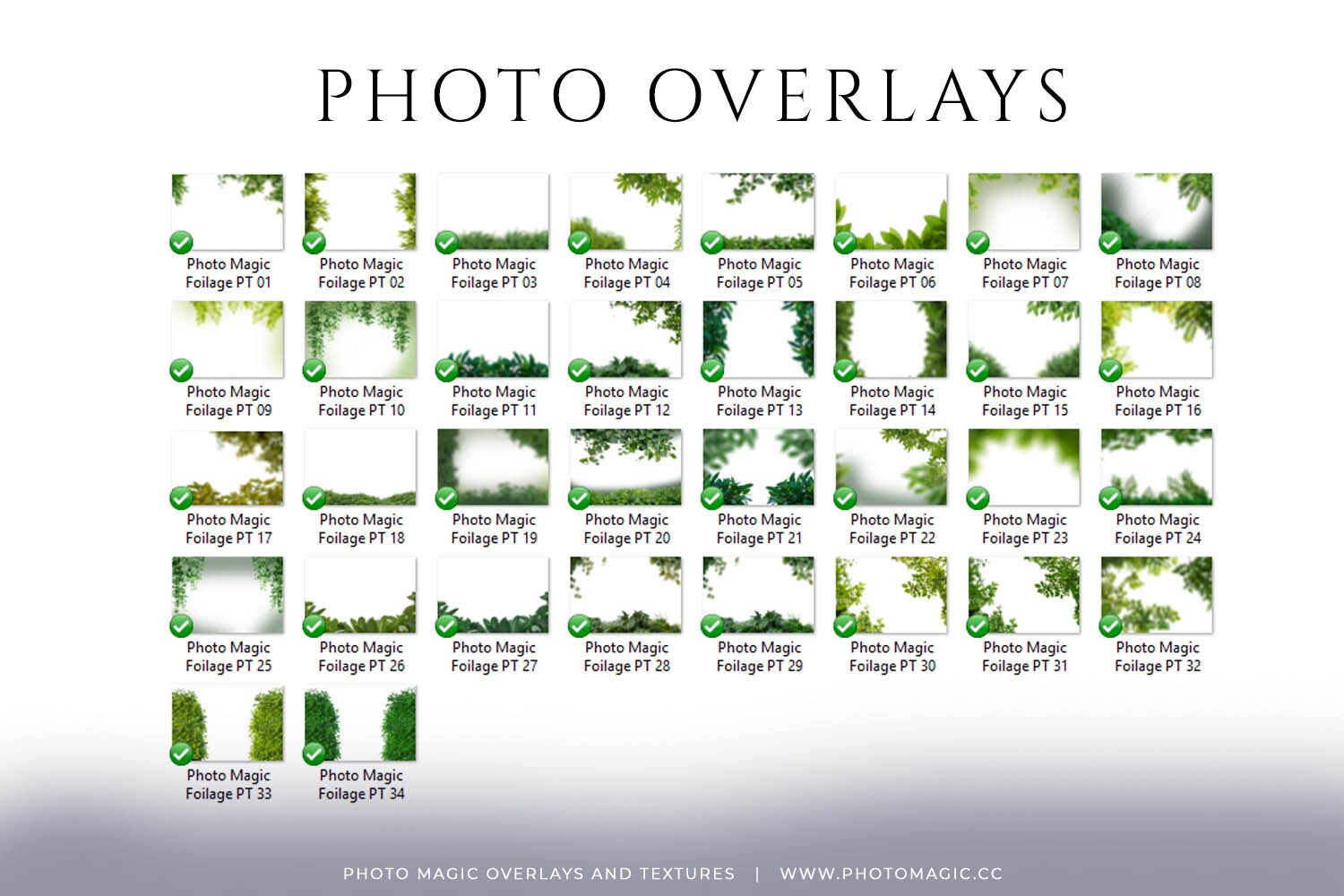 Emerald Flora- 34 Rich Foliage Peek-through Overlays Digital for ...