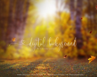 Maple Morning Digital Photography Background Fall Autumn Leaves for ...