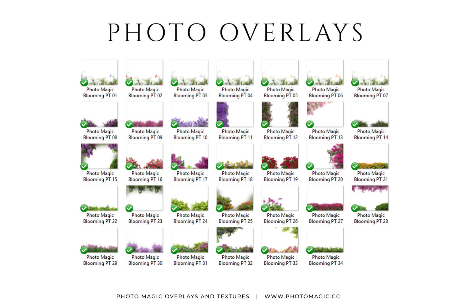 Blooming Flora- 34 Flower Peek-through Overlays Digital for Creative ...