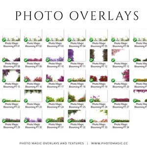 Blooming Flora- 34 Flower Peek-through Overlays Digital for Creative ...