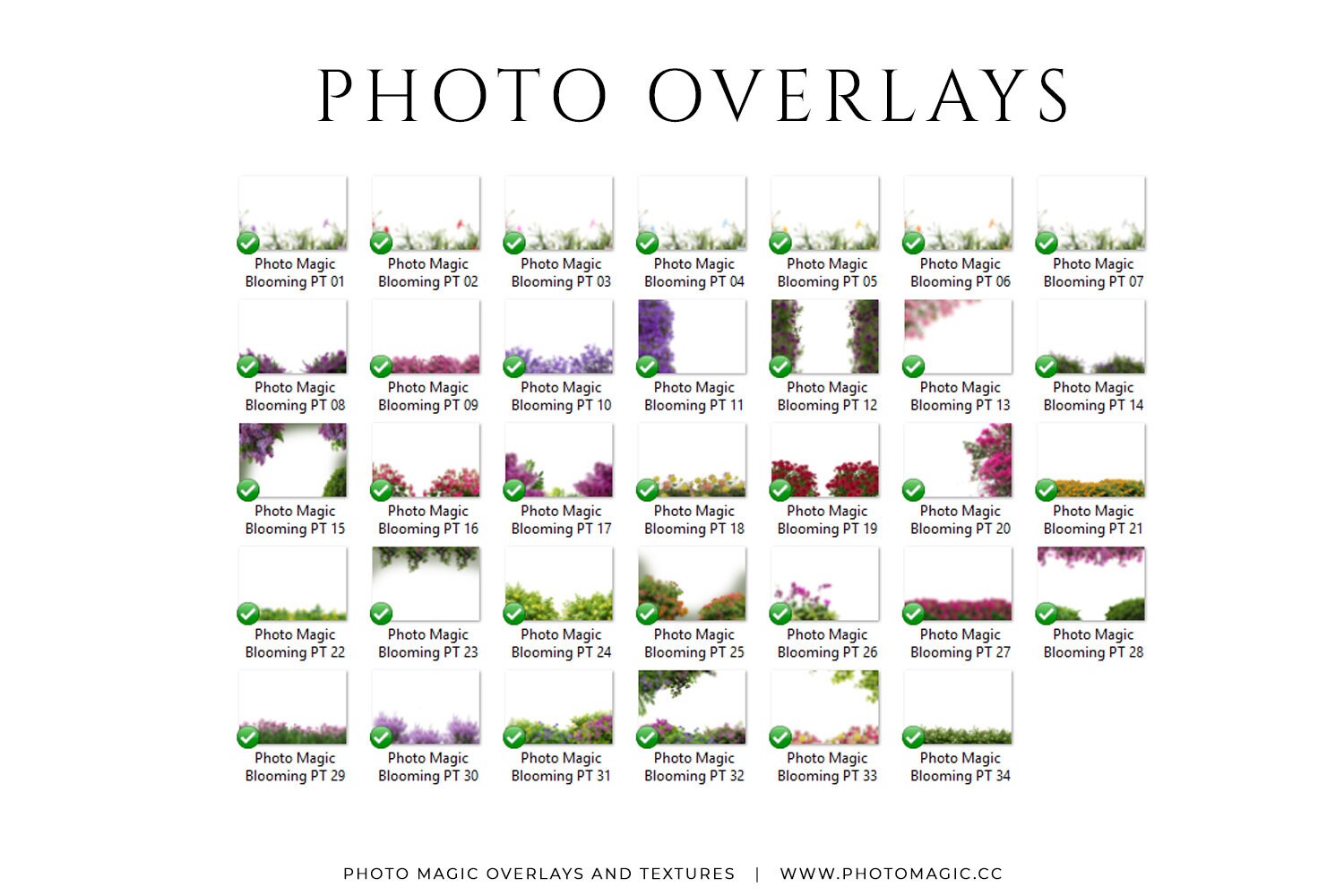 Blooming Flora- 34 Flower Peek-through Overlays Digital for Creative ...