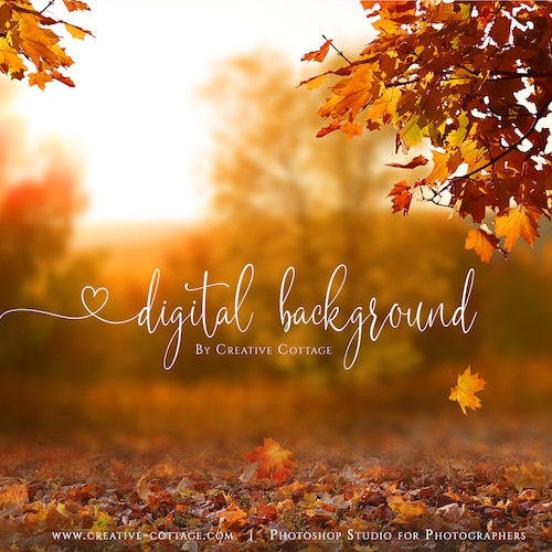 Digital Background for Fall Art - Etsy