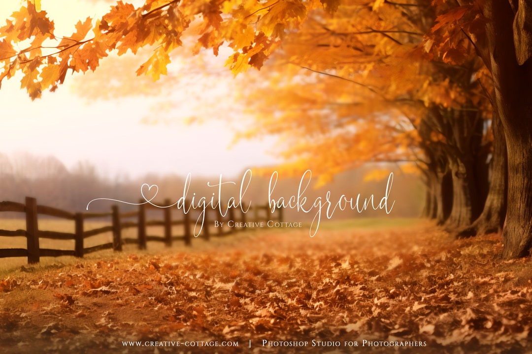 Maple Farm- Fall Autumn Leaves Digital Photo Background for Fine Art ...