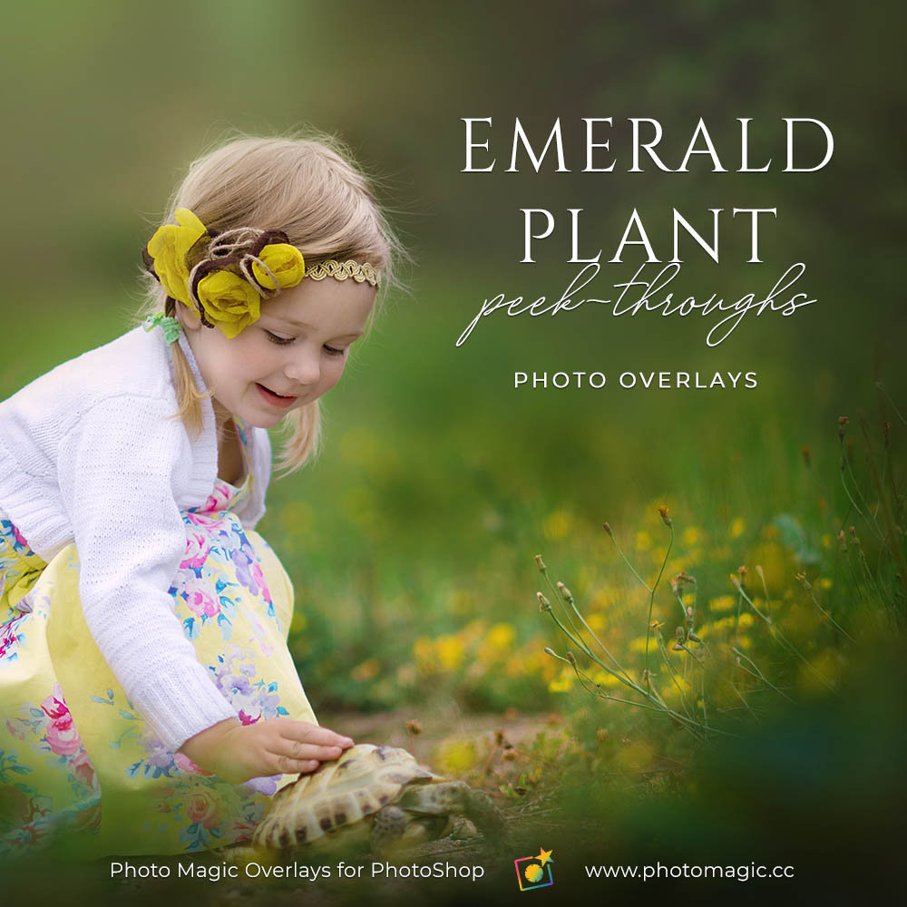 Emerald Flora- 34 Rich Foliage Peek-through Overlays Digital for ...
