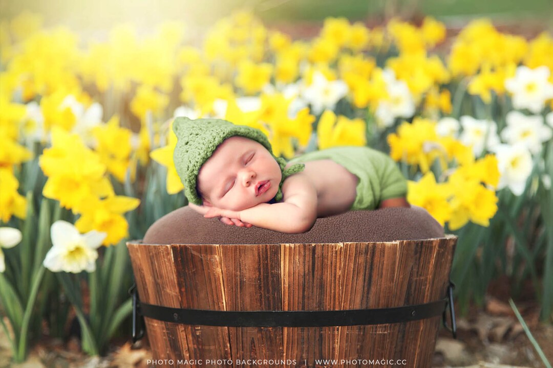 Newborn Daffodil Lullaby Digital Photography Background-spring Newborn ...