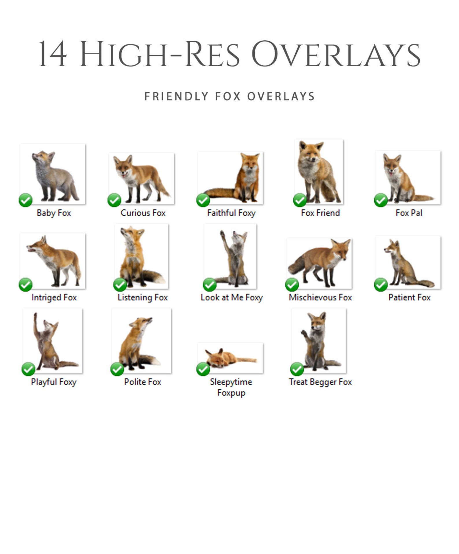 Fox Pals 14 Digital Fox PNG Overlays Digital Props for | Etsy