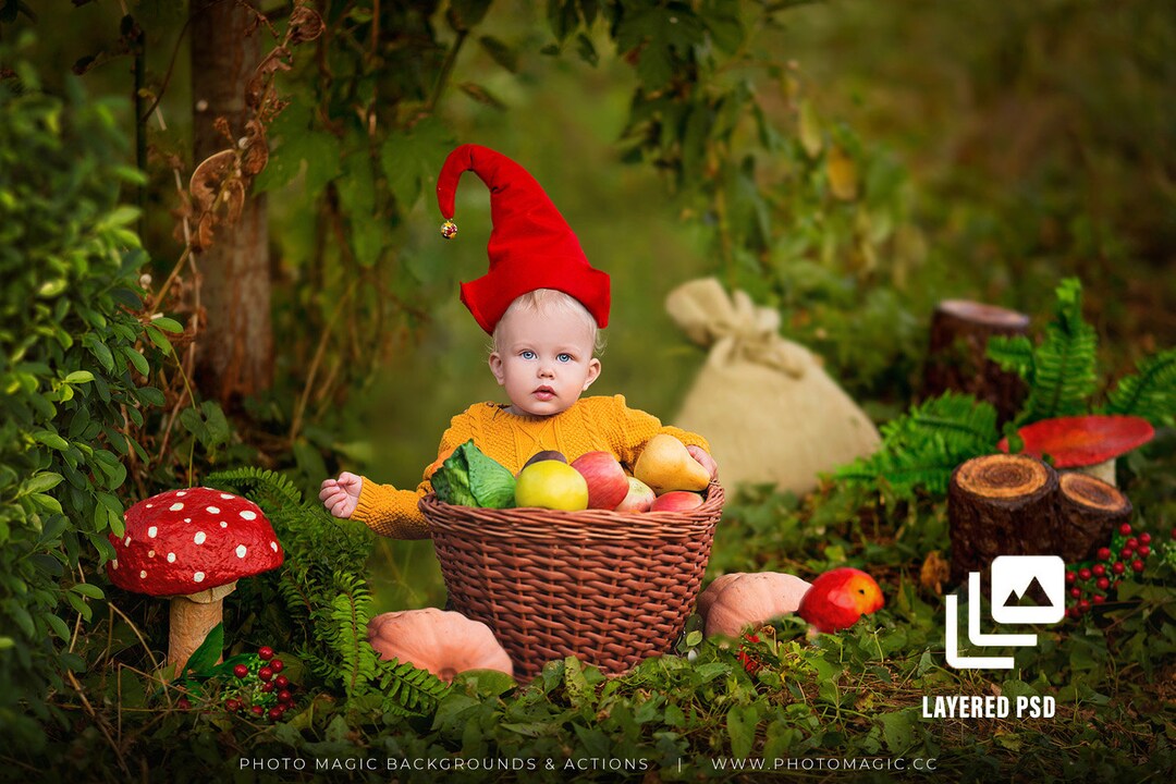 Forest Gnome One- Layered PSD Digital Photography Background- Fantasy ...