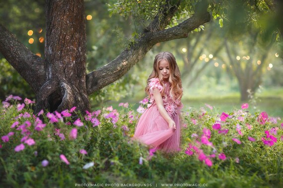 Southern Belle Backgrounds