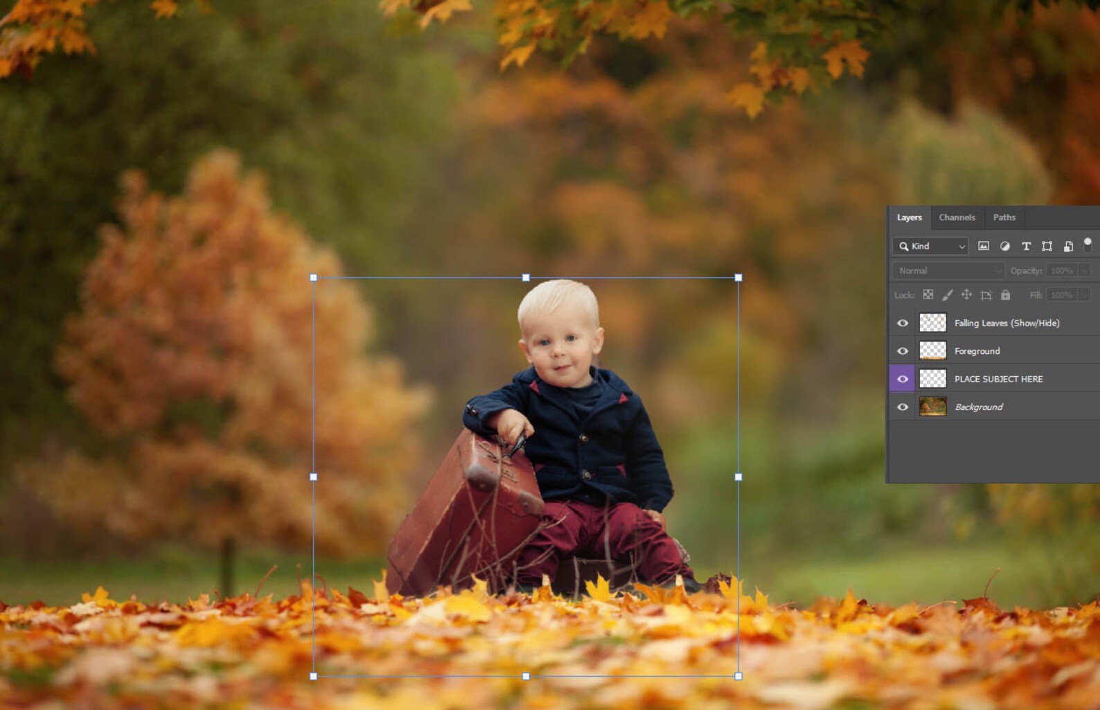 Fall Meadows Layered PSD Falling Leaves Autumn Trees Digital - Etsy