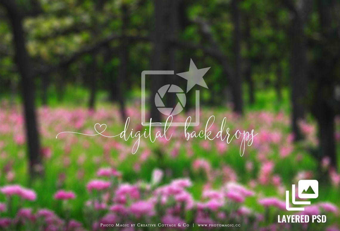 Blushing Fields Layered PSD Digital Photography Background | Etsy