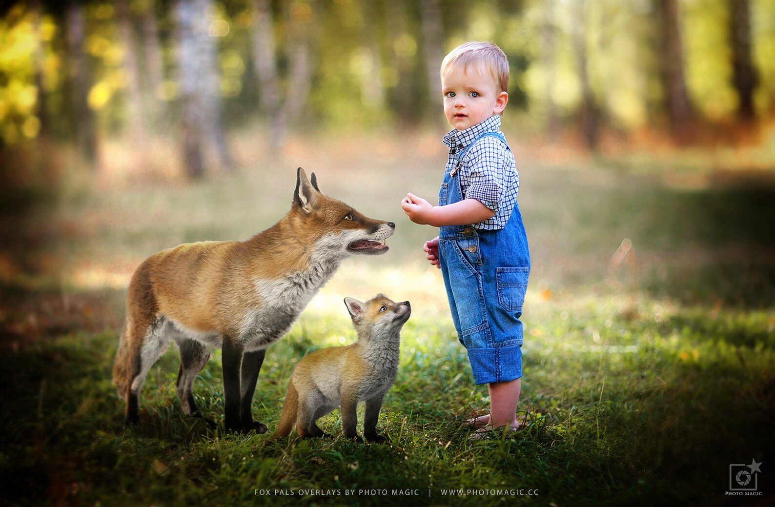 Fox Pals 14 Digital Fox PNG Overlays Digital Props for | Etsy