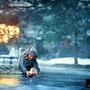 Natural Snow Overlays- 33 Real Falling Snow Scenes, Snowflakes and ...