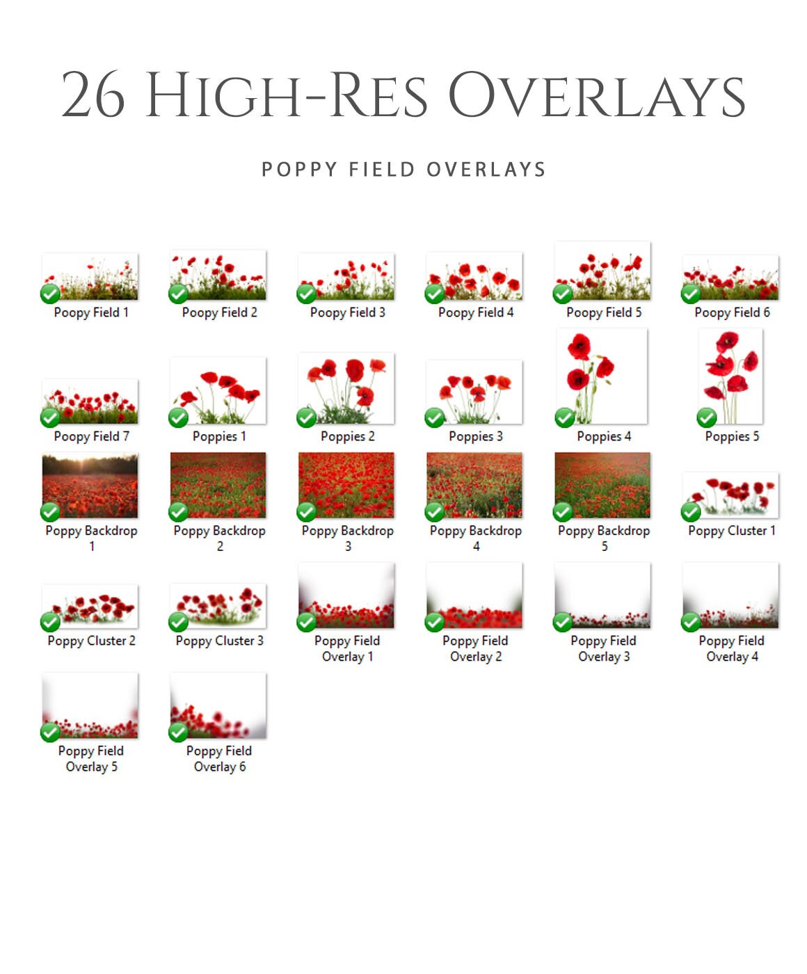 Poppy Field Pack 26 Poppy Overlays and Poppy Field Backdrops - Etsy