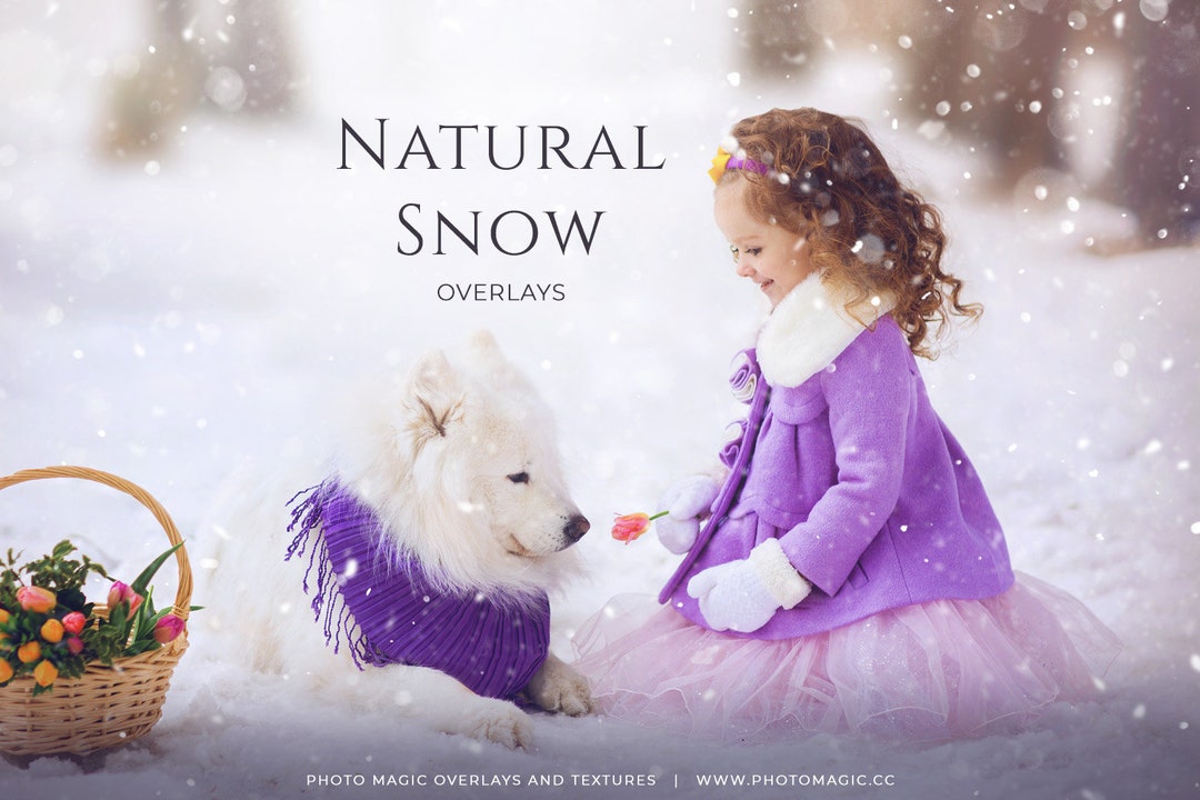 Natural Snow Overlays- 33 Real Falling Snow Scenes, Snowflakes and ...