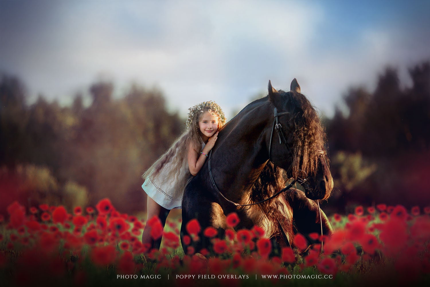 Poppy Field Pack 26 Poppy Overlays and Poppy Field Backdrops - Etsy