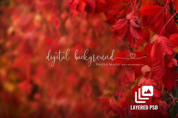 Red Maple Grove Layered PSD Autumn Red Fall Maple Leaves | Etsy