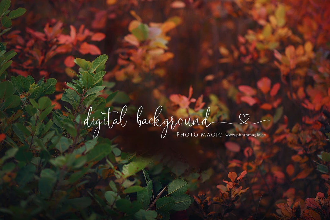 Sweet November Digital Photography Background- Rich Autumn Leaves Jewel ...