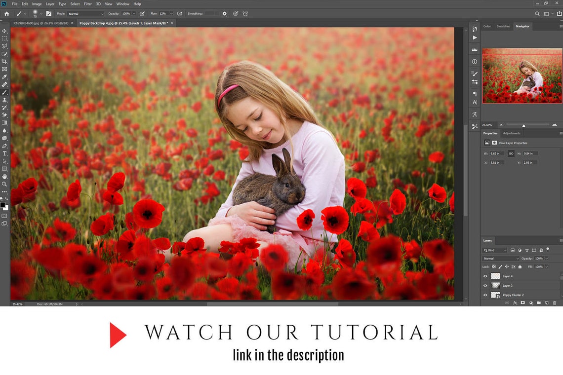 Poppy Field Pack 26 Poppy Overlays and Poppy Field Backdrops - Etsy