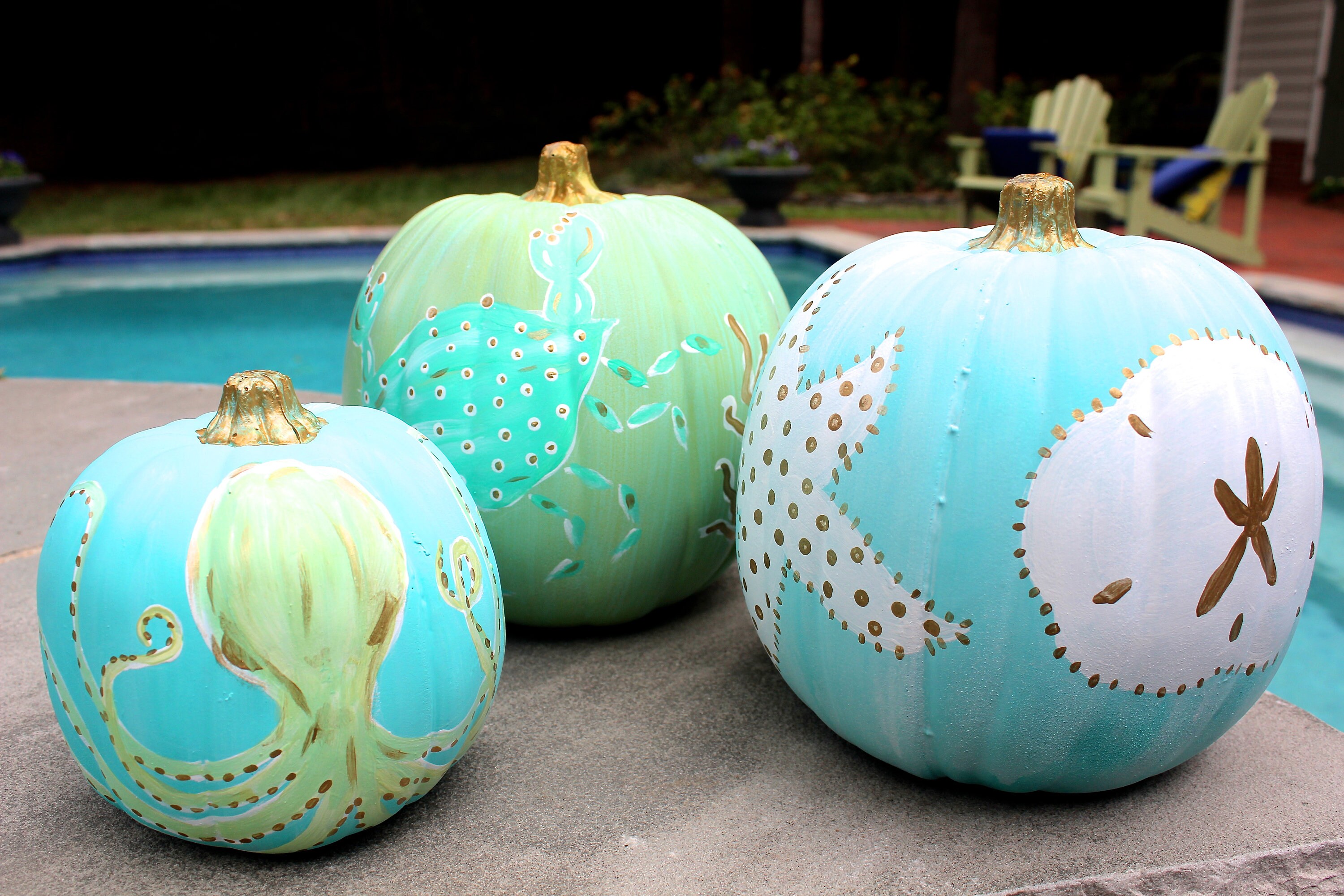Small Coastal Painted Pumpkins Turquoise Crab, Octopus Sand Dollar ...