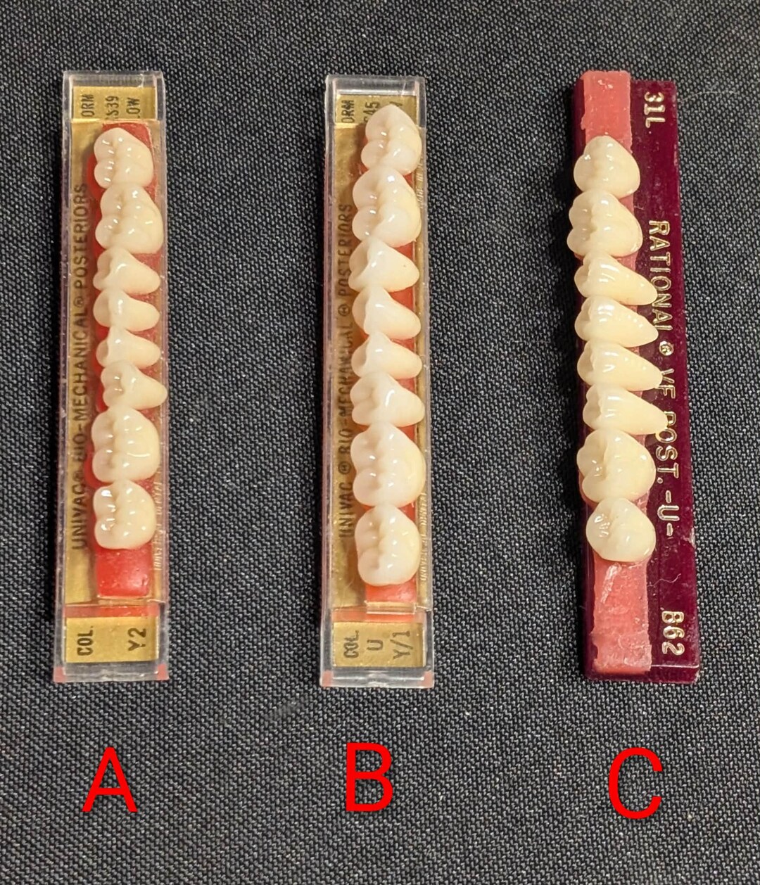 Vintage Artificial Teeth Models (sold Individually) - Etsy