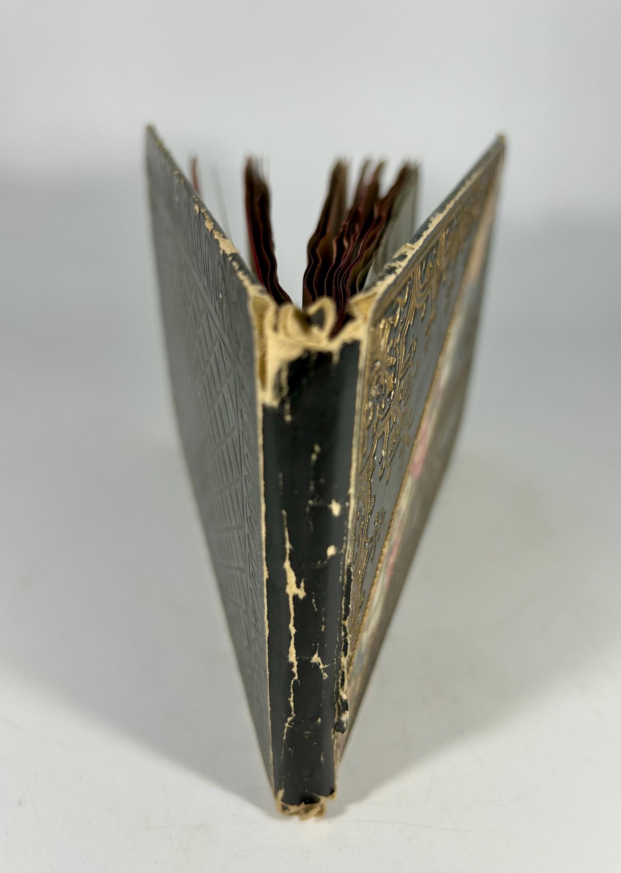 Antique 19th Century Victorian Leather Autograph Book With Collectible ...