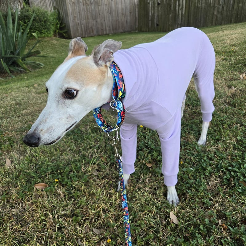 Long Legged Tee - Etsy