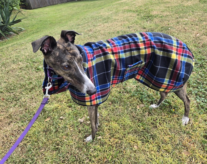 Greyhound Coat, Greyhound Jacket: Red, Blue, Yellow and Black Plaid ...