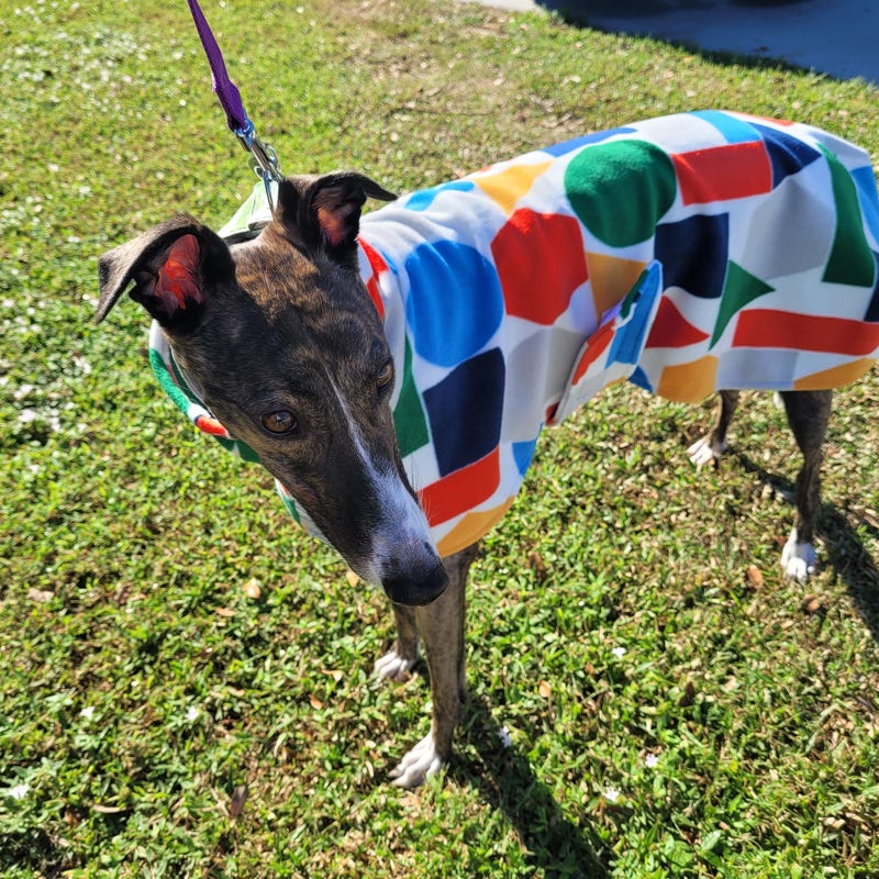 Greyhound Coats - Etsy