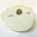 Flapper Bathing Beauty Ashtray Lady Figurine Luster Shell Cigarette ...