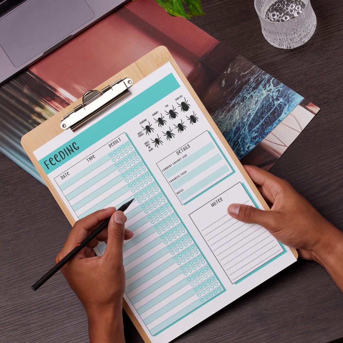 Jumping Spider Care Log | Printable PDF & Tablet Planner | Feeding Molt ...