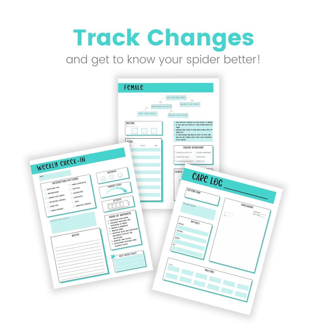 Jumping Spider Care Log | Printable PDF & Tablet Planner | Feeding Molt ...