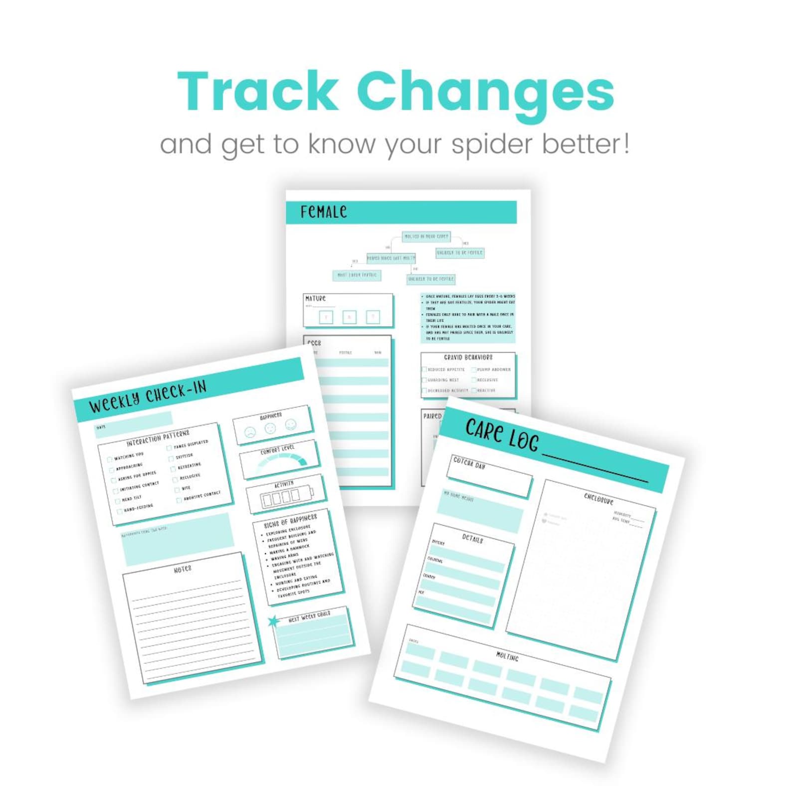 Jumping Spider Care Log | Printable PDF & Tablet Planner | Feeding Molt ...