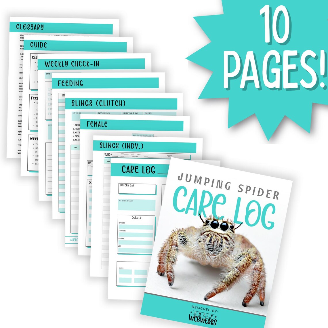 Jumping Spider Care Log | Printable PDF & Tablet Planner | Feeding Molt ...