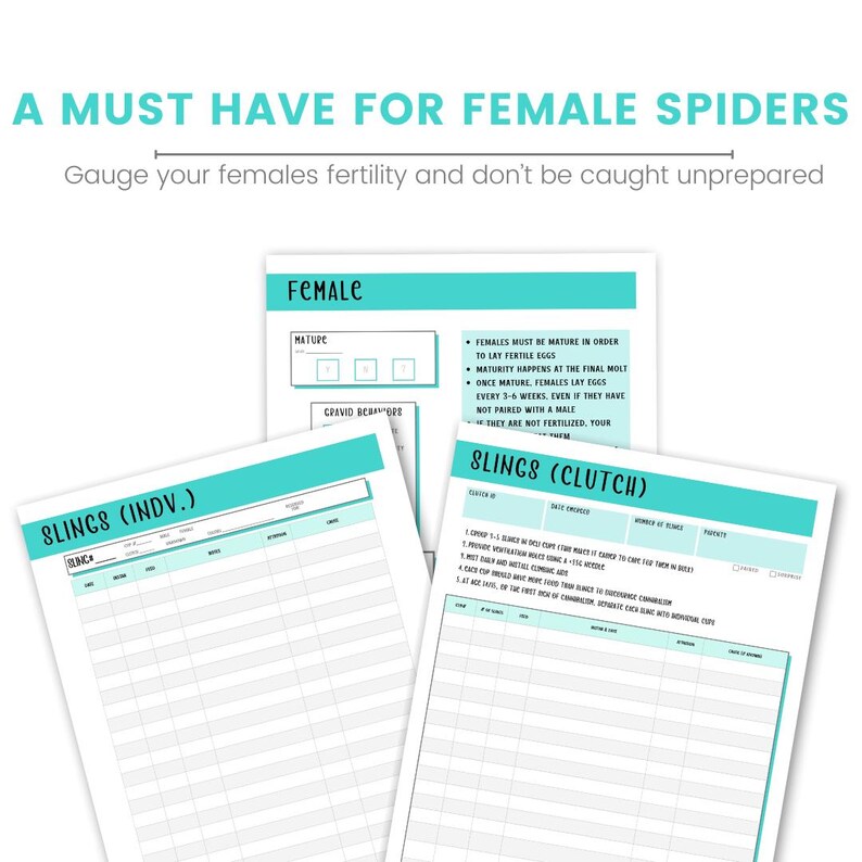 Jumping Spider Care Log | Printable PDF & Tablet Planner | Feeding Molt ...