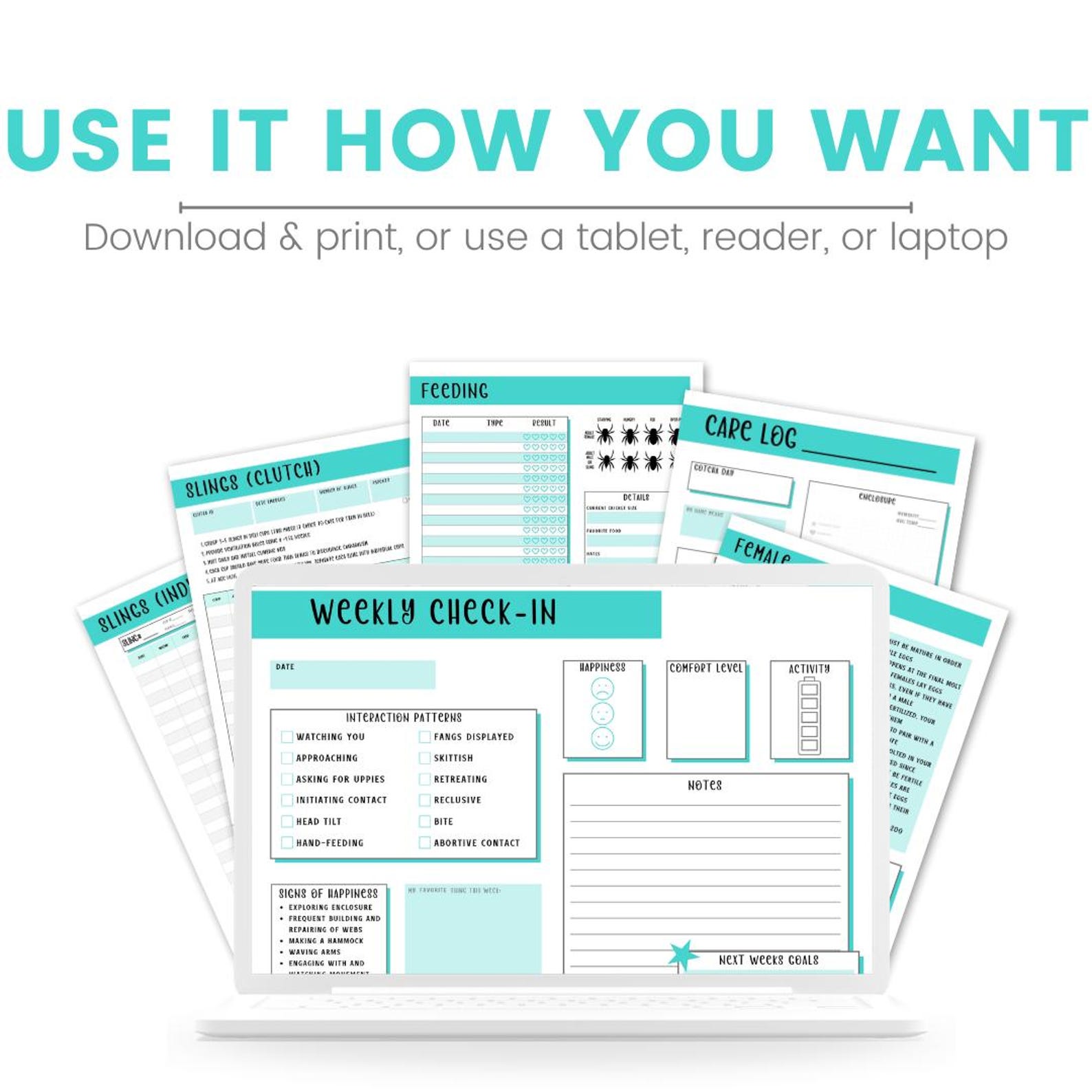 Jumping Spider Care Log | Printable PDF & Tablet Planner | Feeding Molt ...