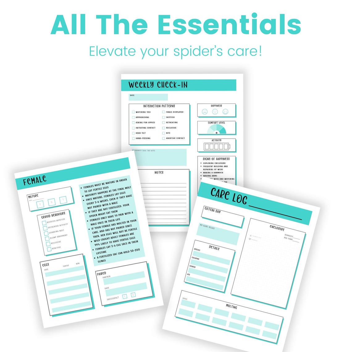 Jumping Spider Care Log | Printable PDF & Tablet Planner | Feeding Molt ...