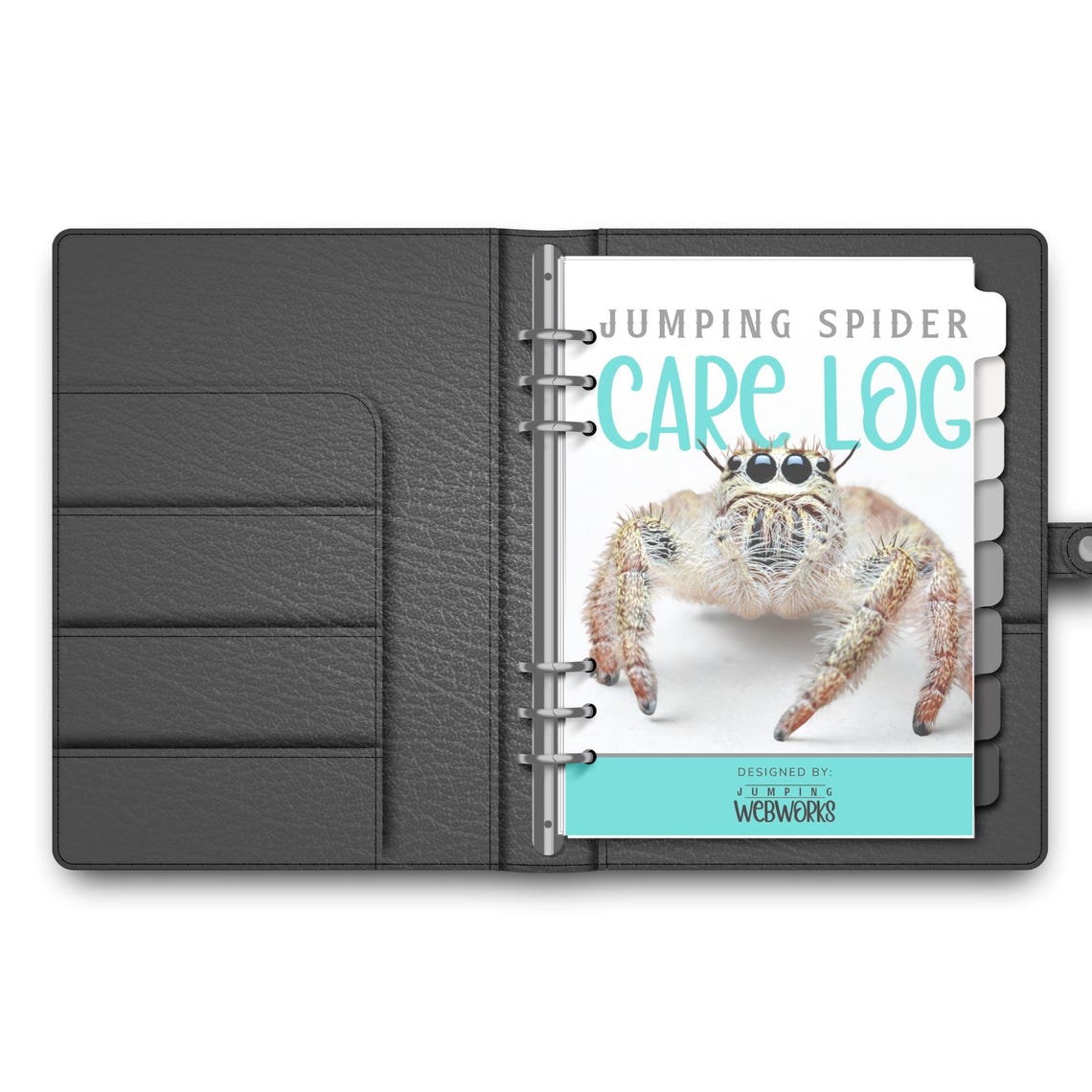 Jumping Spider Care Log | Printable PDF & Tablet Planner | Feeding Molt ...