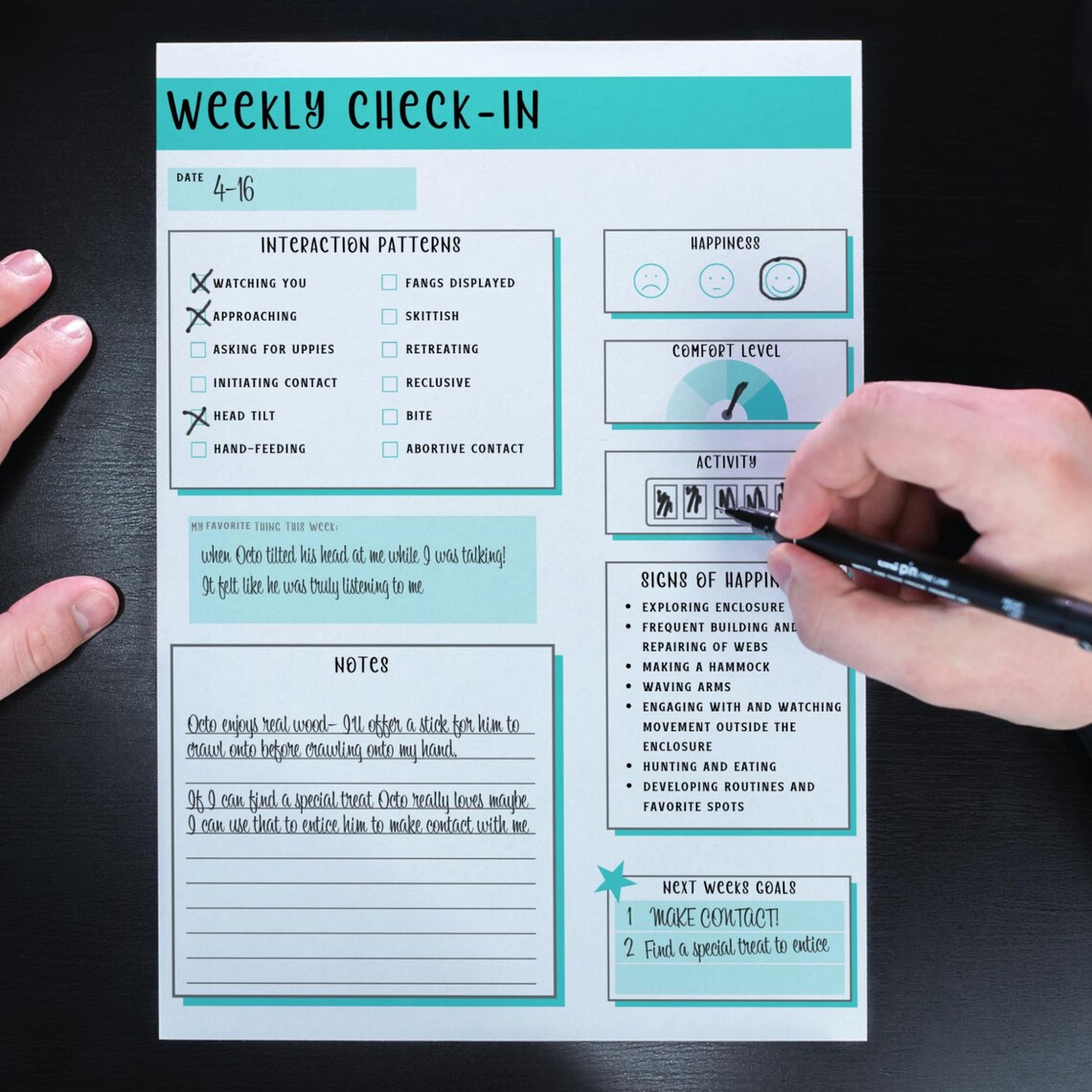 Jumping Spider Care Log | Printable PDF & Tablet Planner | Feeding Molt ...