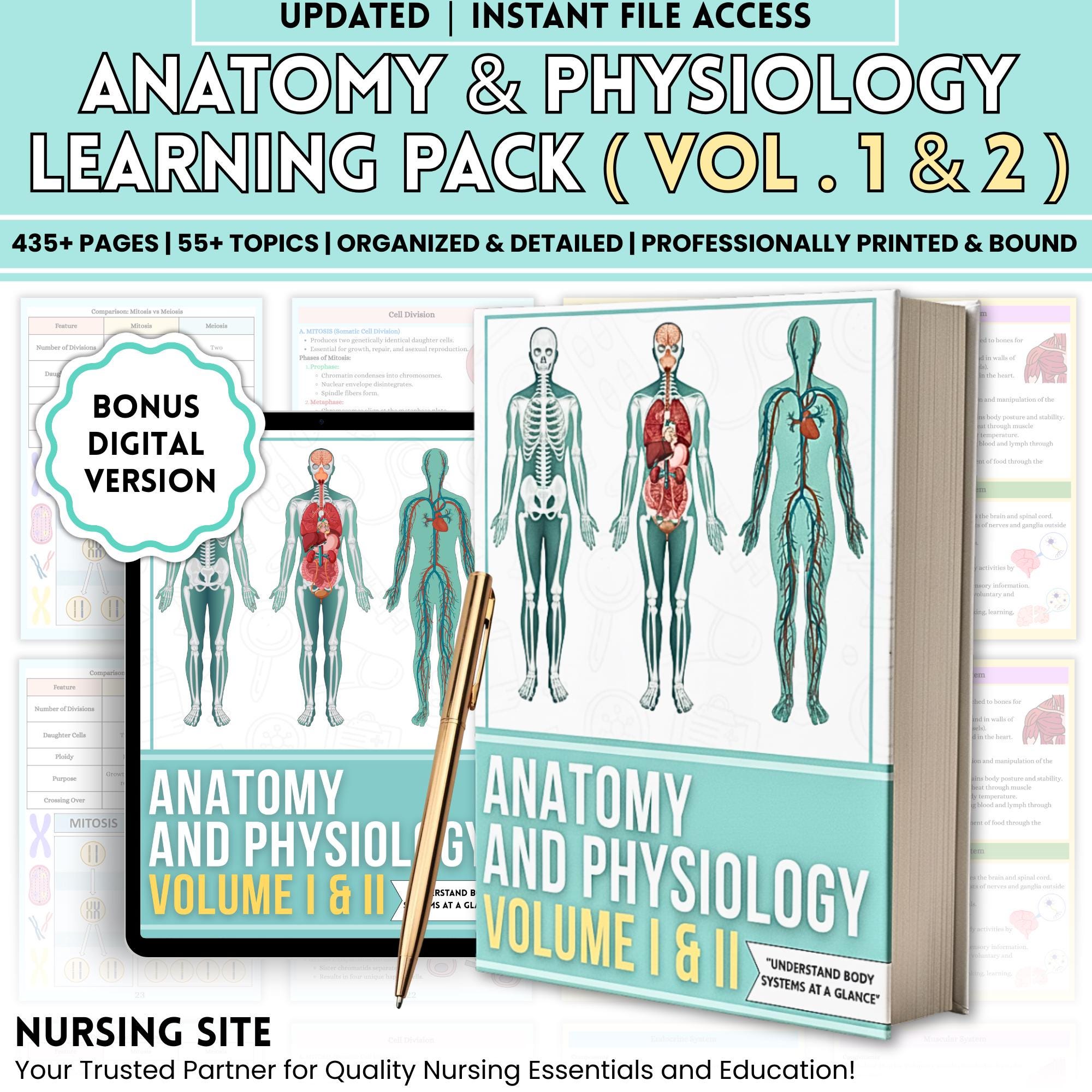 Anatomy and Physiology Bundle Vol. 1 2, Human Body Study Guide ...