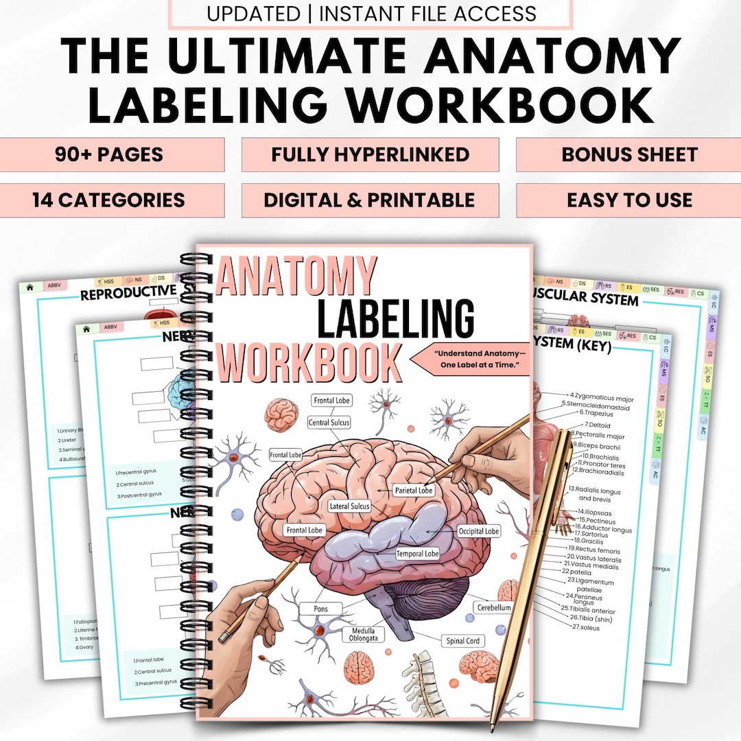 Anatomy Labeling Workbook PDF | Nursing Student Study Guide | Anatomy ...