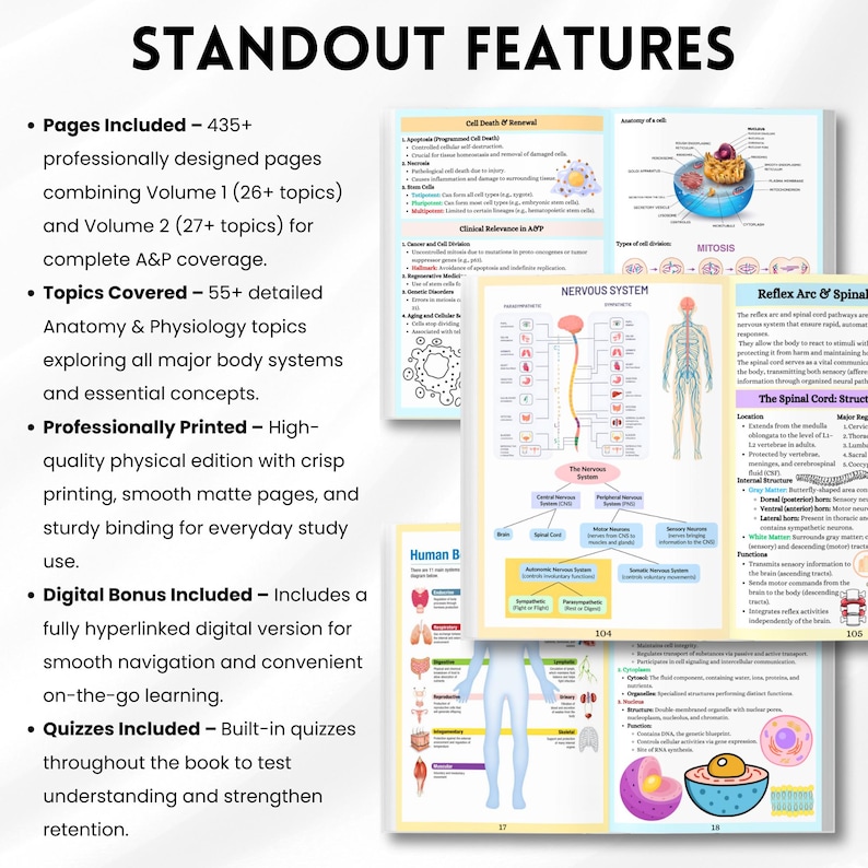 Anatomy and Physiology Bundle Vol. 1 2, Human Body Study Guide ...