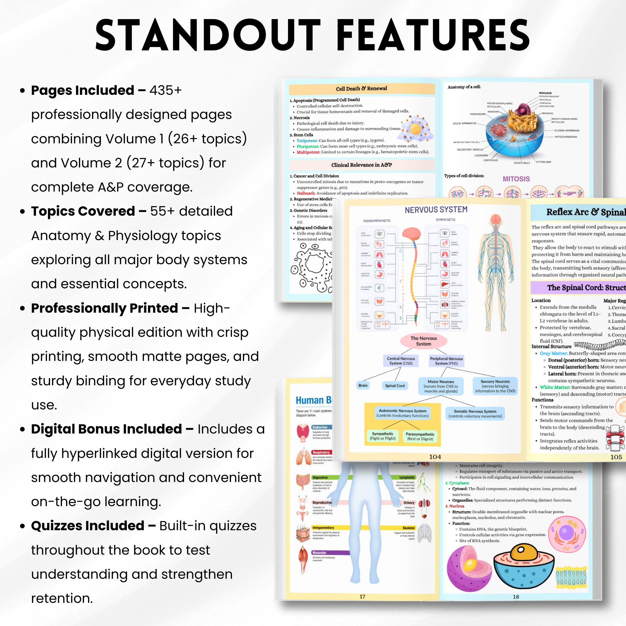 Anatomy and Physiology Bundle Vol. 1 2, Human Body Study Guide ...