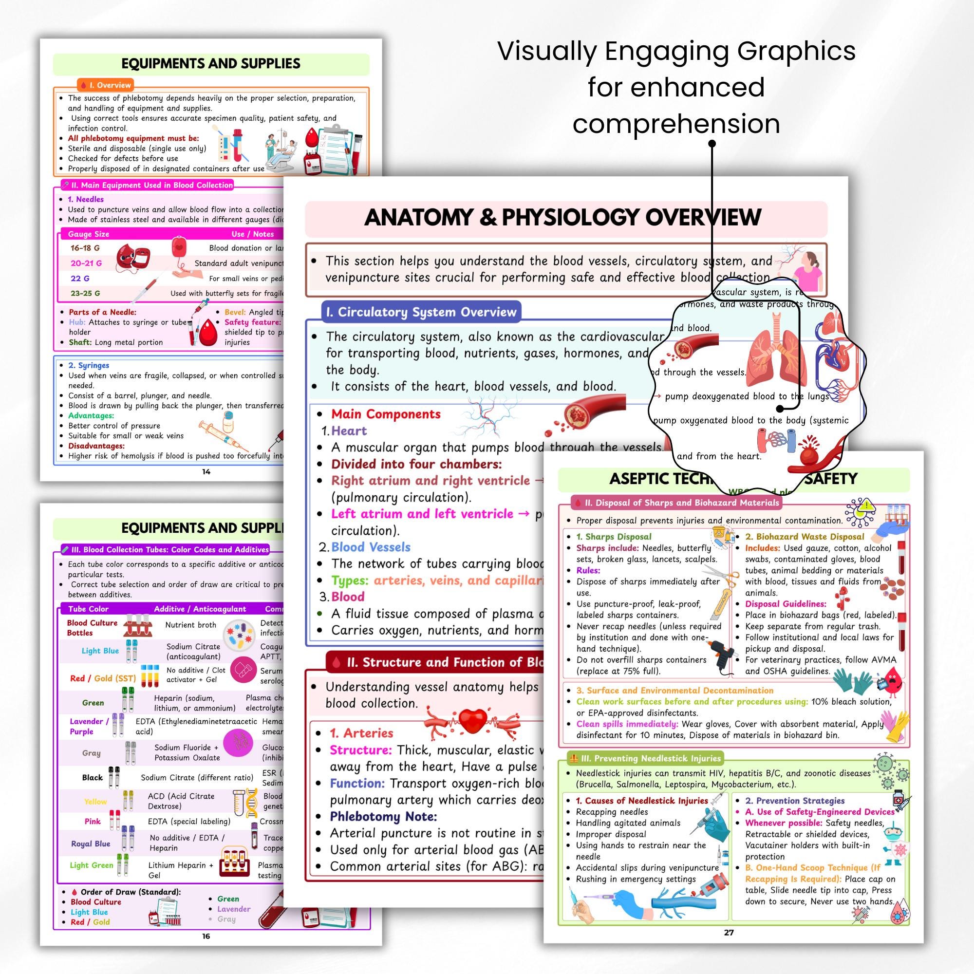 Phlebotomy Study Guide PDF | Blood Draw & Nursing Study Aid | Lab ...