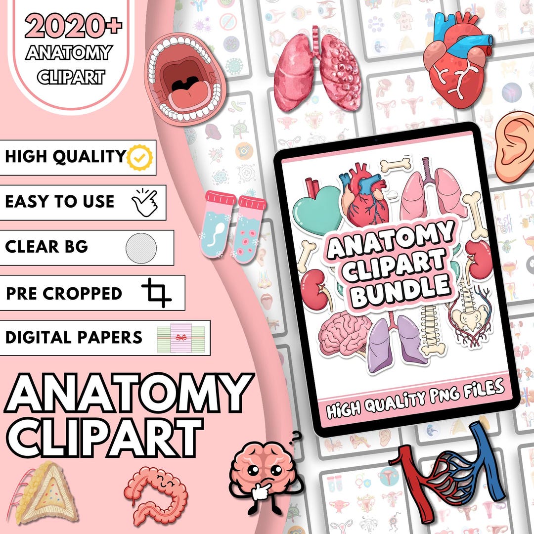 Anatomy Clipart Bundle PNG | 2020+ Human Anatomy Organ Illustrations ...