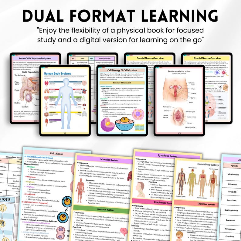 Anatomy and Physiology Bundle Vol. 1 2, Human Body Study Guide ...