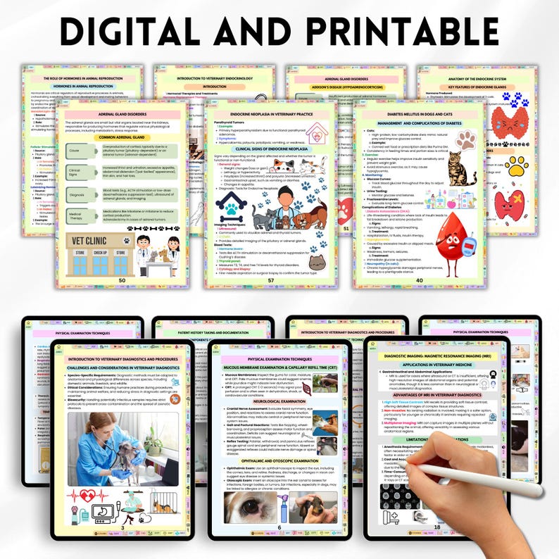 Veterinary Mega Bundle Study Guide | Vet Student Learning Resources ...