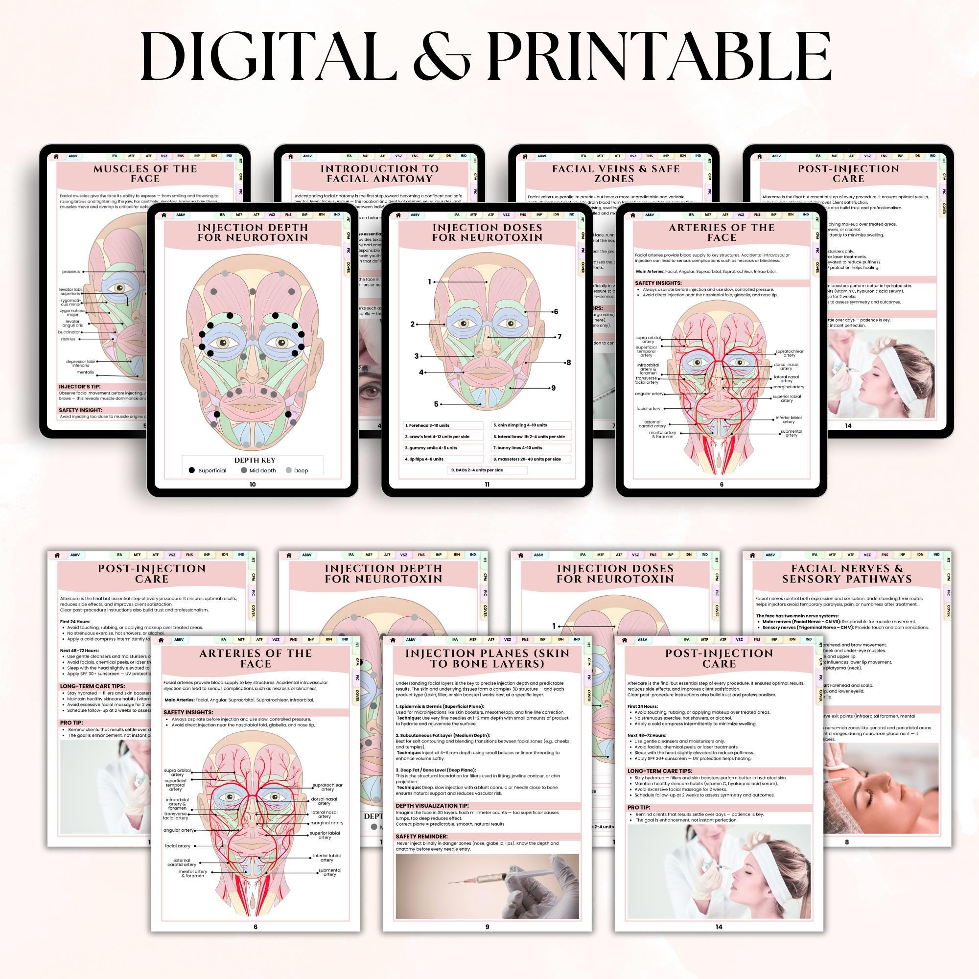 Aesthetic Injector Anatomy Guide Hyperlinked | Botox & Filler Mapping ...