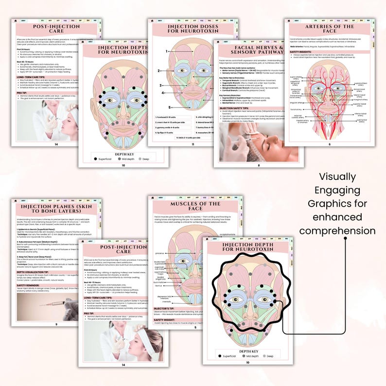Aesthetic Injector Anatomy Guide Hyperlinked | Botox & Filler Mapping ...